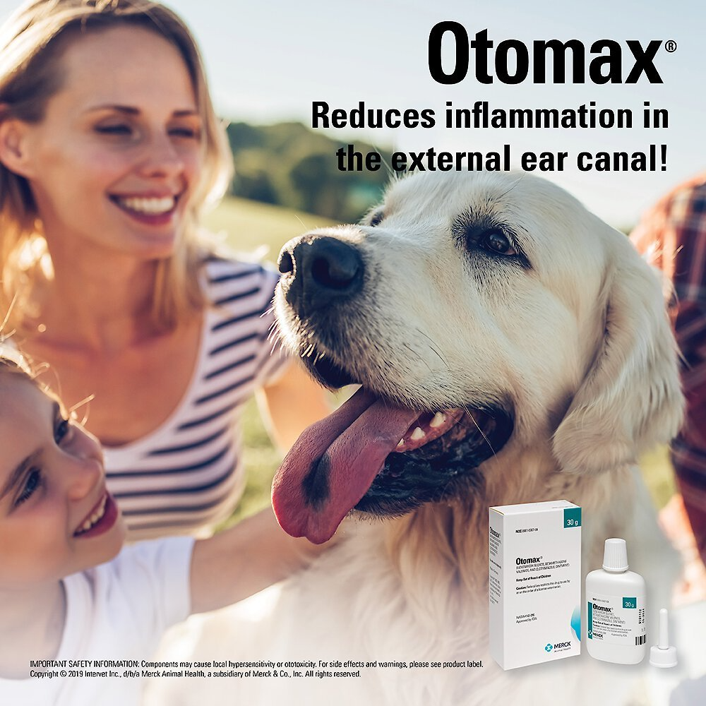 Otomax (Gentamicin / Betamethasone / Clotrimazole) Otic Ointment for ...