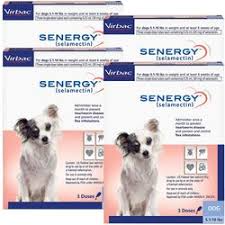 Senergy Topical Solution for Puppies & Kittens, up to 5 lbs, (Mauve Box ...