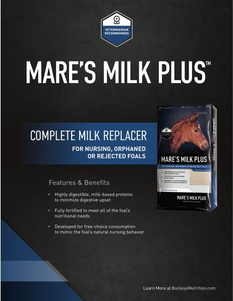 Buckeye Nutrition Mare's Milk Plus Milk Replacer Powder Horse ...