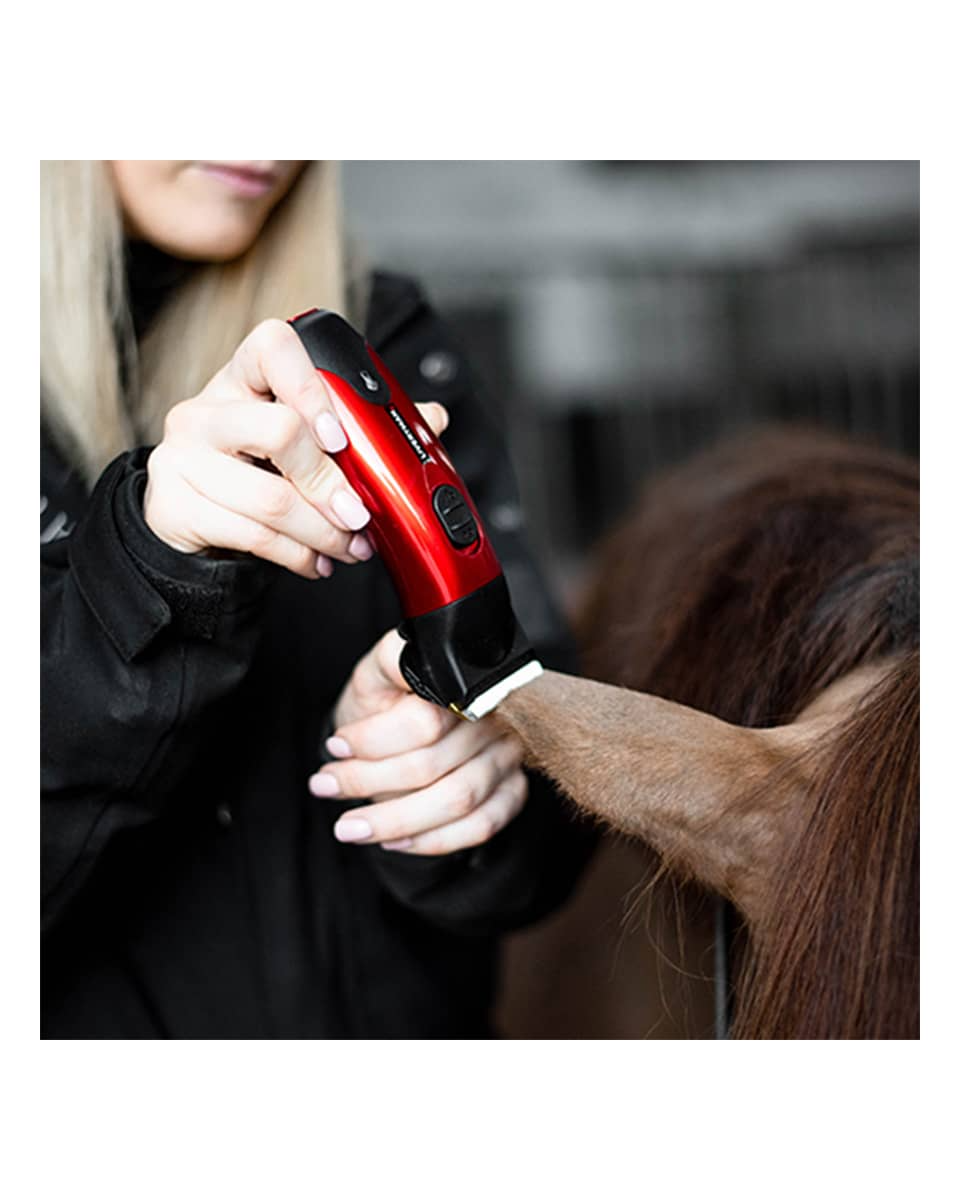 Liveryman Classic Trimmer | Amerikasepetim
