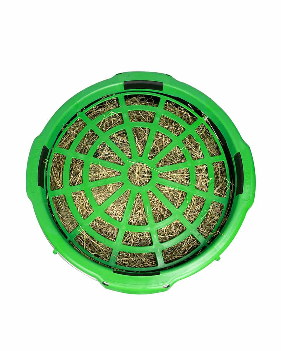 HayGain Forager Slow Feeder | Amerikasepetim